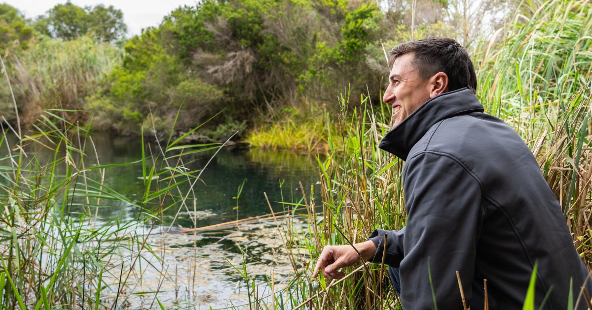 Karst springs restoration project… | Limestone Coast Landscape Board