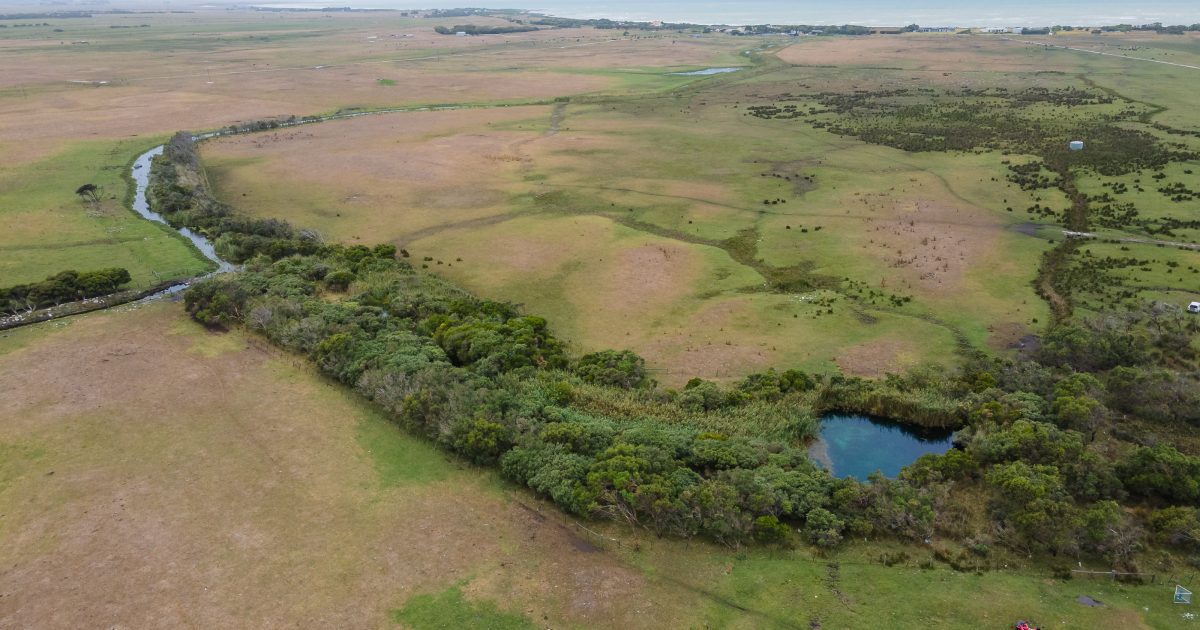 Returning farmland to wetland | Limestone Coast Landscape Board