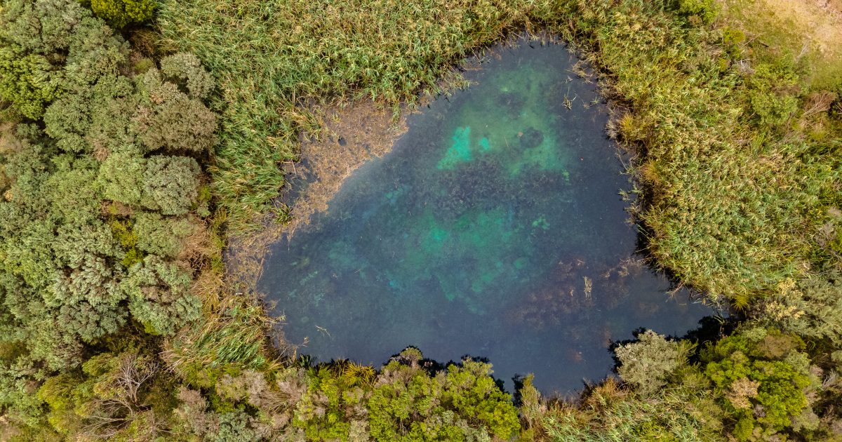 Karst springs project - the journey… | Limestone Coast Landscape Board