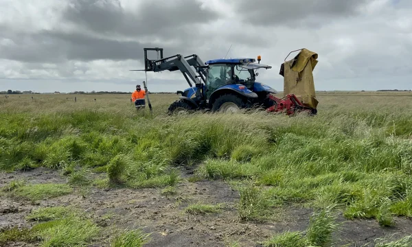Restoration starting to take shape… | Limestone Coast Landscape Board